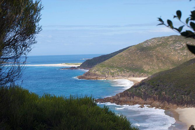 Private Port Stephens Day Trip from Sydney incl Dolphin Cruise - The Sum Up
