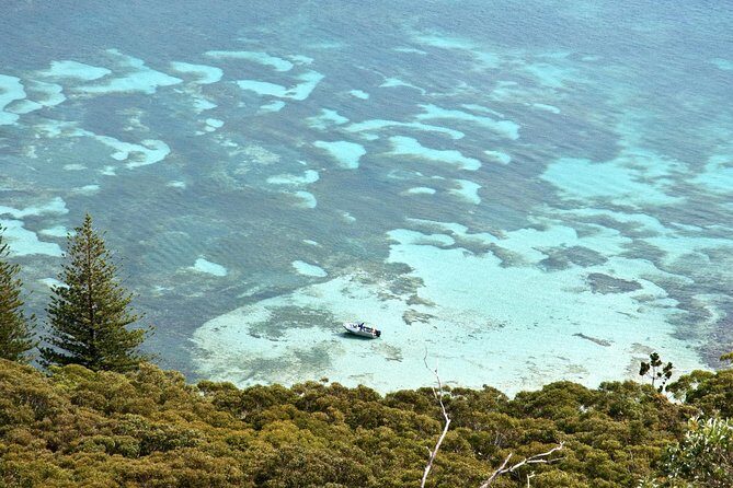 Private Port Stephens Day Trip from Sydney incl Dolphin Cruise - FAQ
