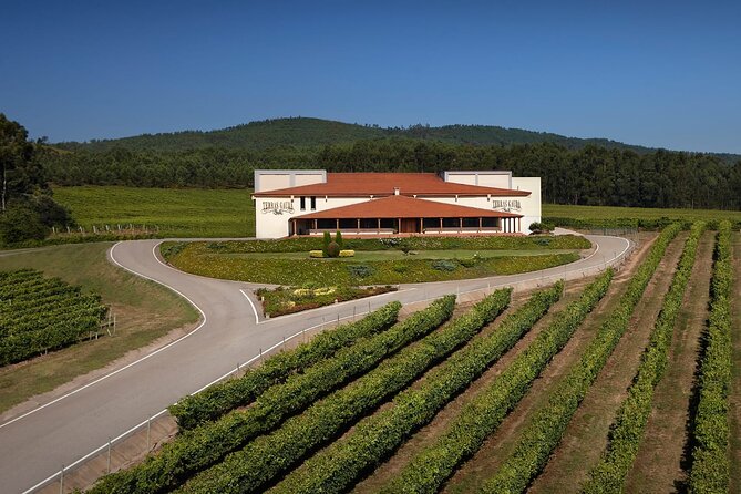 Private Porto Santiago Compostela Tour with Albariño Wine - Key Points