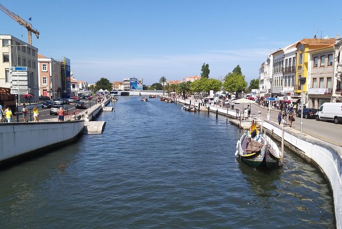 Private Porto to Lisbon Tour – Customize Your Journey! - Tailor Your Tour to Your Preferences