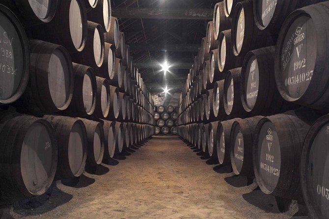 Private Porto Tour From Lisbon - the Wine Capital of Portugal - Tour Inclusions and Exclusions
