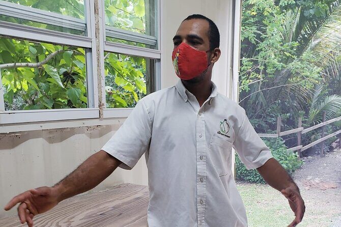 Private Pottery Experience at British Virgin Islands - The Downside?