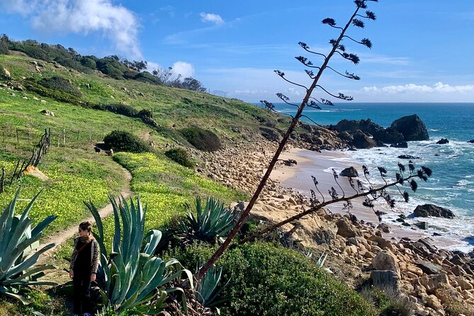 Private Prehistoric and Ancient Tour in Strait Natural Park - Introduction