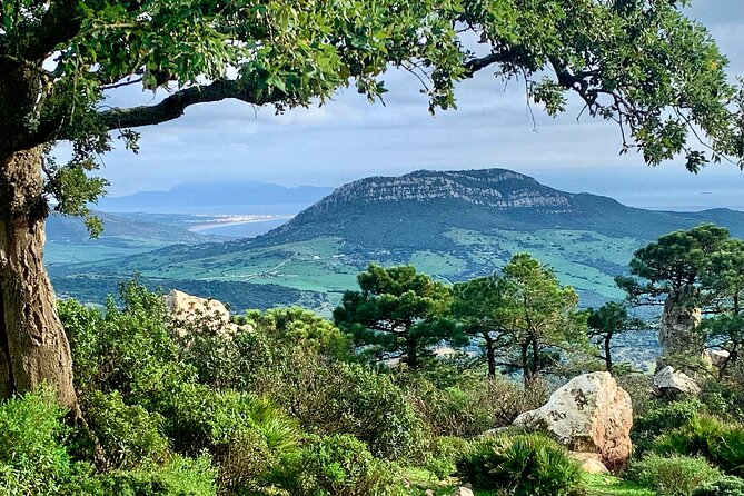 Private Prehistoric and Ancient Tour in Strait Natural Park - Practical Tips for Travelers