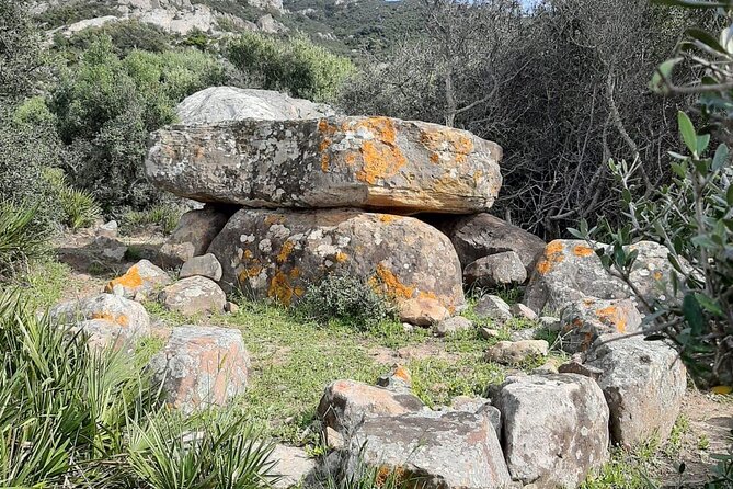 Private Prehistoric and Ancient Tour in Strait Natural Park - Who Should Book This Tour?