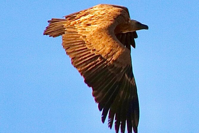 Private Prehistoric and Ancient Tour in Strait Natural Park - FAQ