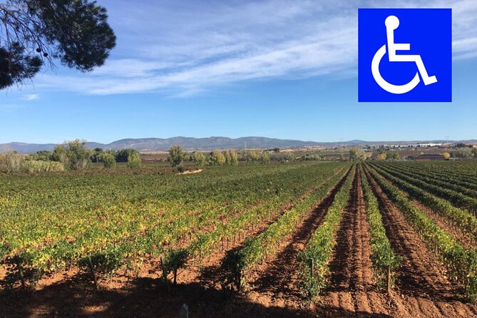 Private, premium: 3 wineries in Valencia region + winery lunch - Discover the Valencia Wine Experience: A Private, Accessible Tour of Three Wineries with Lunch