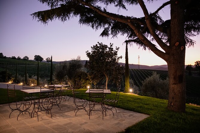 Private Premium Brunello Wine Tasting Tour & Food Pairing - The Wines and Food