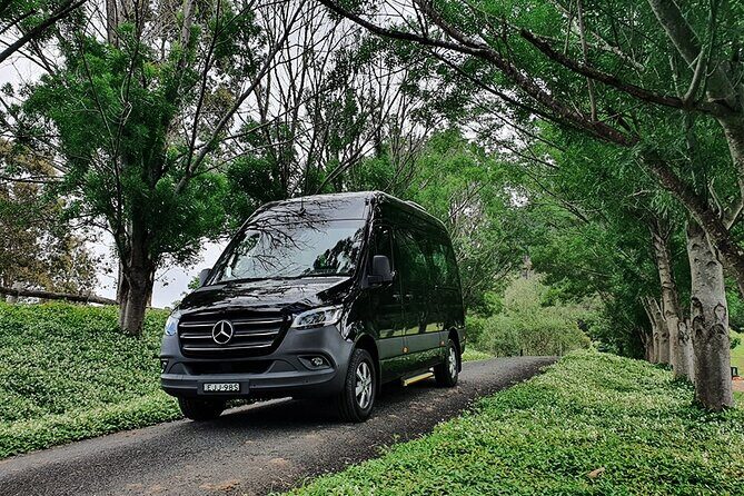 Private Premium Transport TO Sydney Airport (T1, T2 and T3) - Who Would Benefit Most?