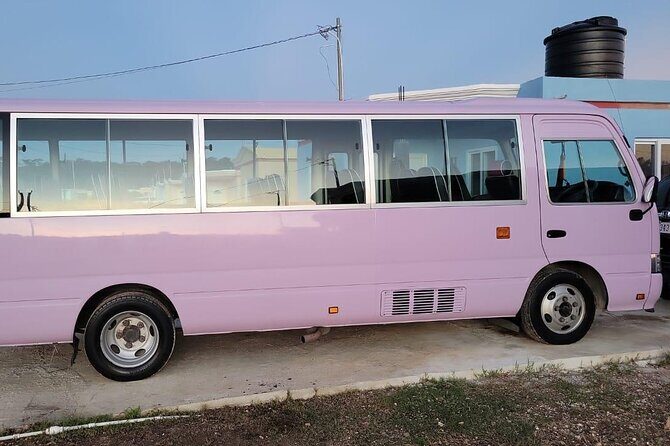 PRIVATE Princess Grand Resort Airport Transfer from Montego Bay - Reviews and Real Traveler Insights