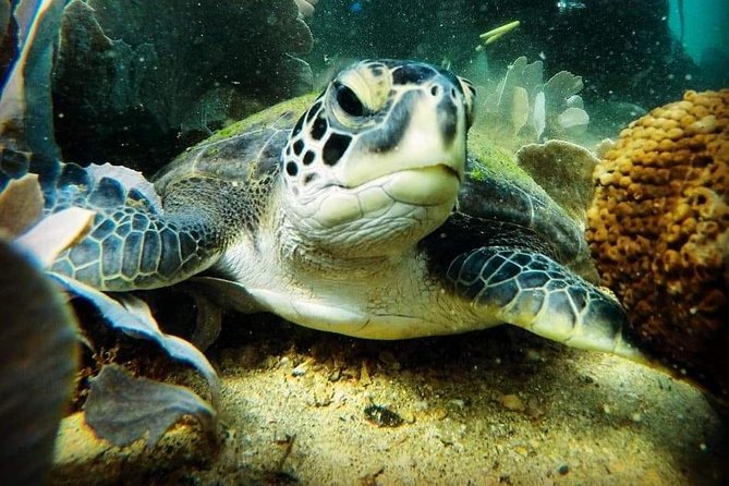 Private Program for Accredited Diver in Búzios - Meeting and Pickup