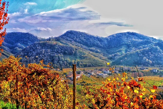 Private Prosecco Tour, with a certified Sommelier - The Itinerary in Detail