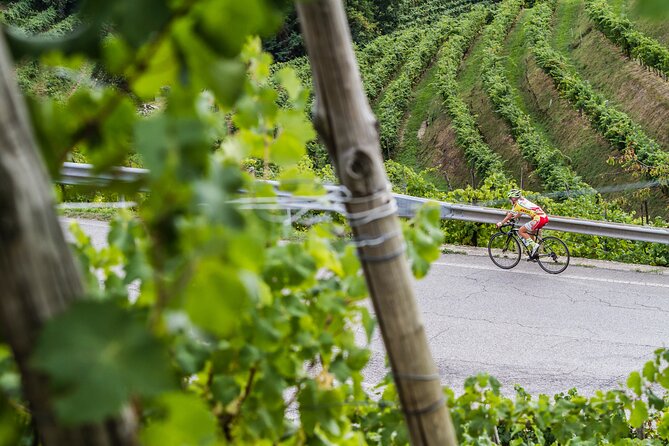 Private Prosecco Tour, with a certified Sommelier - Transportation and Logistics