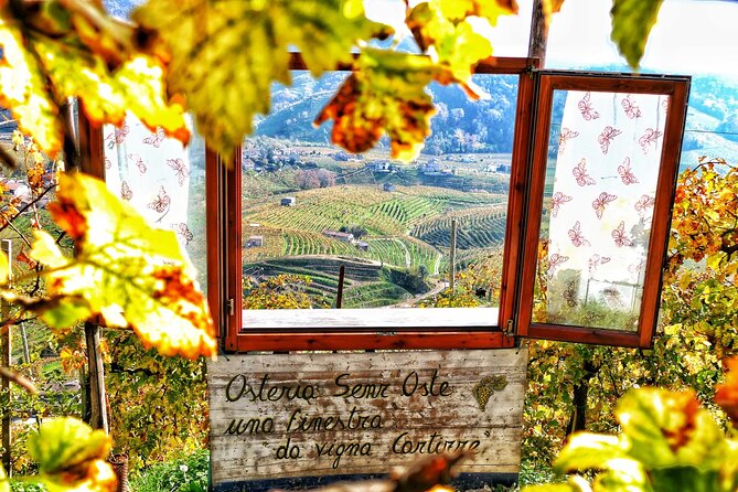 Private Prosecco Tour, with a certified Sommelier - Price and Value