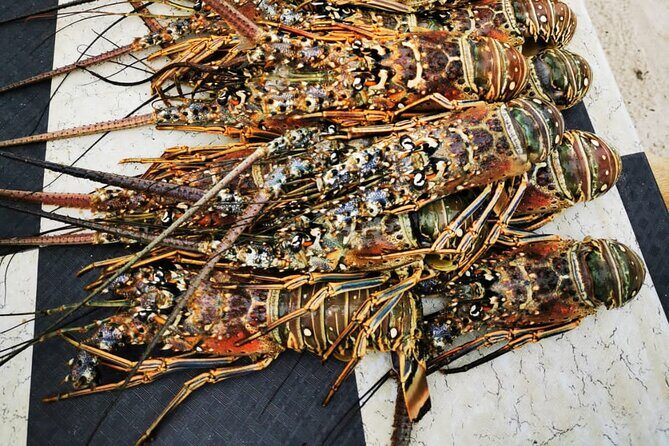 Private Puerto Plata Food Tour and Beach Chillout - Authentic Experiences That Keep Guests Coming Back