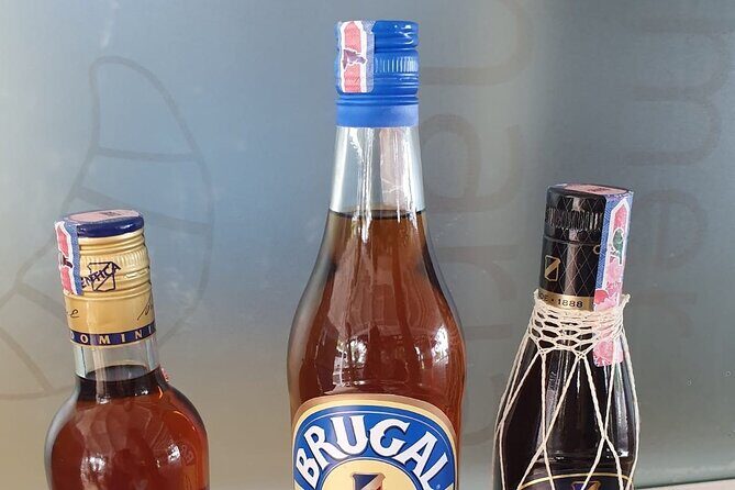 Private Puerto Plata Food Tour and Beach Chillout - The Sum Up: Who This Tour Is Perfect For