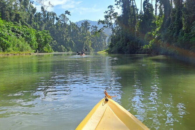 Private Puerto Princesa River Kayaking with Seaplane Transfer - An In-Depth Look at the Tour