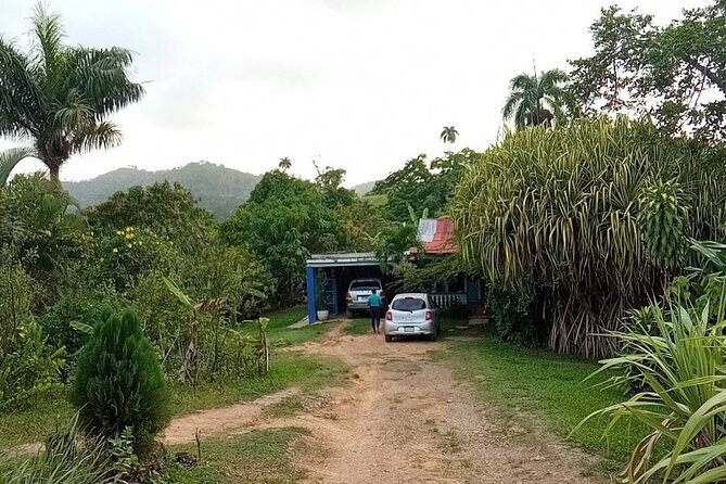 Private Punta Cana Beyond-the-Resort Local Life Tour - Key Points