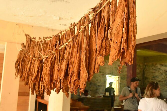 Private Punta Cana Beyond-the-Resort Local Life Tour - FAQs