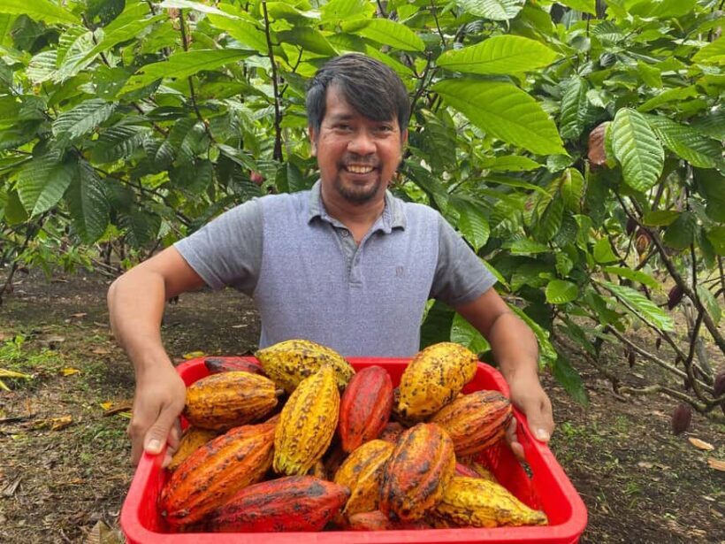 Private: Punta Cana: Buggy Tour with Cenote Swim & Macao - Who Will Enjoy This Tour?