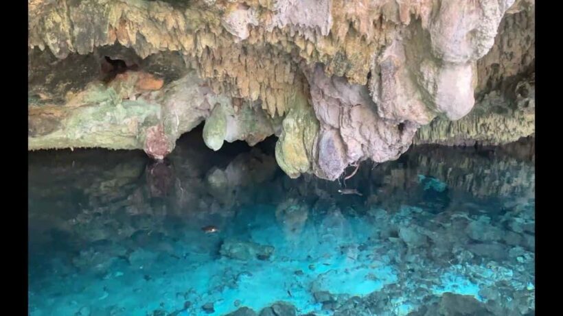 Private: Punta Cana: Buggy Tour with Cenote Swim & Macao - FAQ