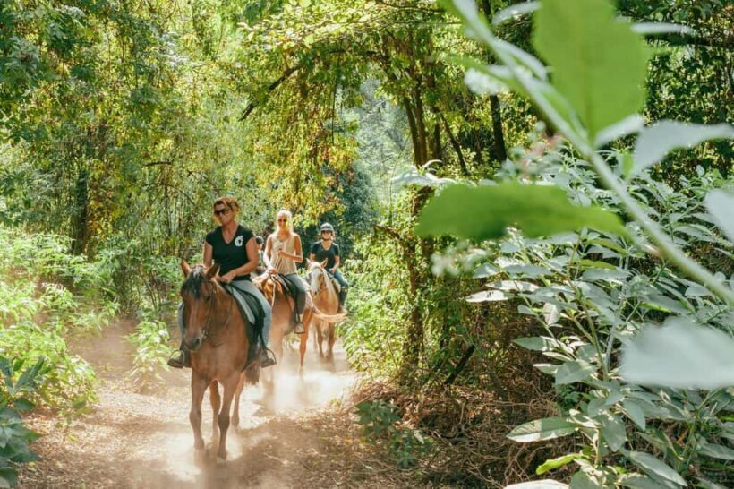 Private: Punta Cana: Horseback Riding Tour with Sunset - A Detailed Look at the Punta Cana Horseback Riding Sunset Tour