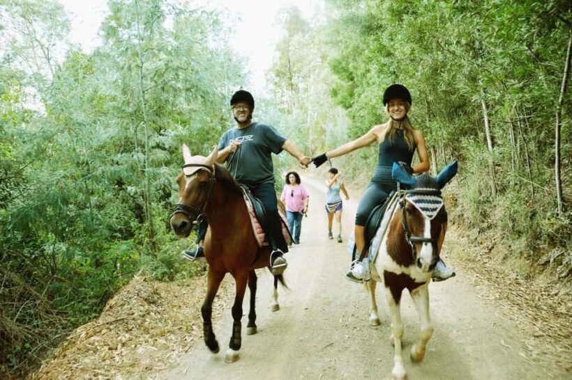 Private: Punta Cana: Horseback Riding Tour with Sunset - The Experience: What Makes It Stand Out?