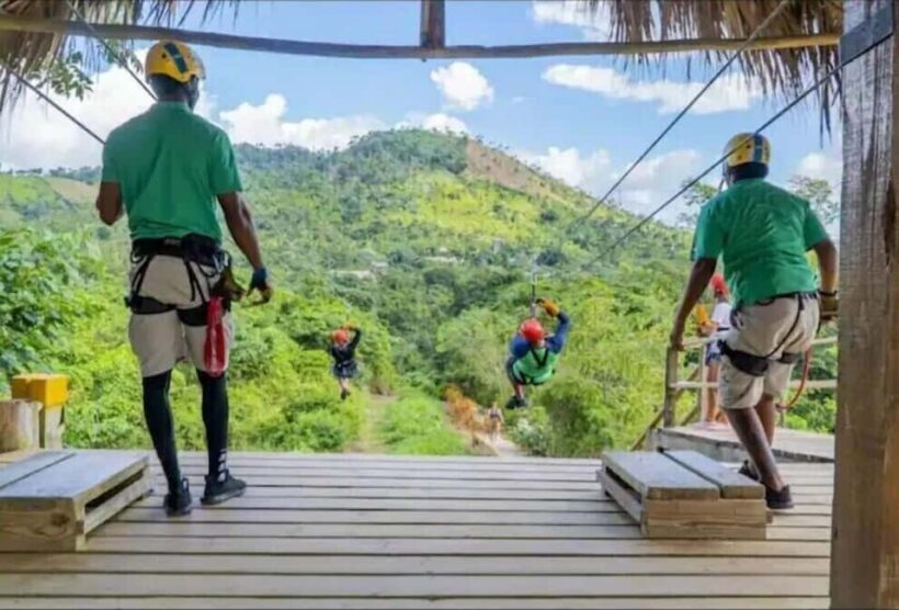 Private: Punta Cana Jungle 12-Cable Zipline Adventure - Key Points