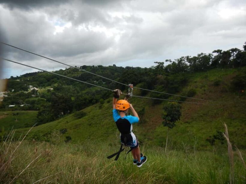 Private: Punta Cana Jungle 12-Cable Zipline Adventure - Who Should Consider This Tour?