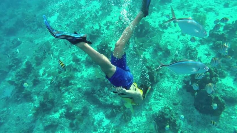 Private: Punta Cana to Catalina: Snorkeling, Beach & Buffet - Frequently Asked Questions