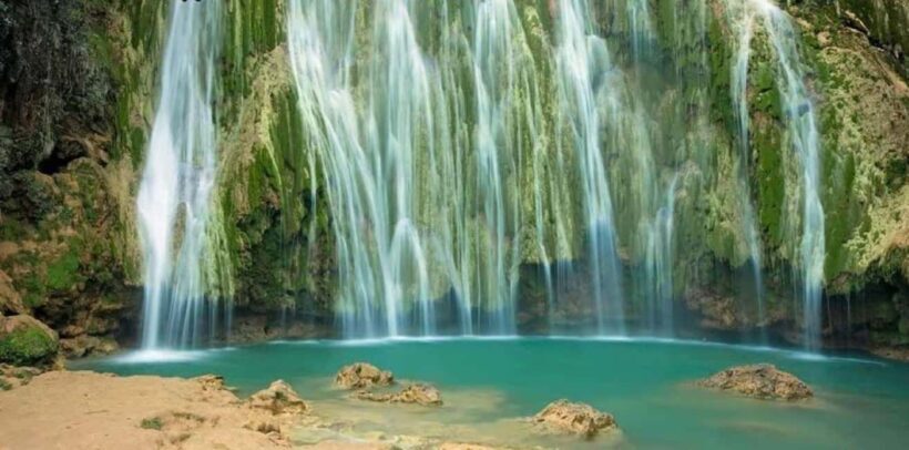 Private: Punta Cana Whale Watching Bacardí Island Adventure - Value & Practical Considerations