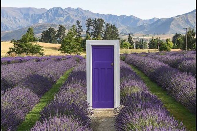 Private Queenstown and Wanaka City Day Tour - Key Points