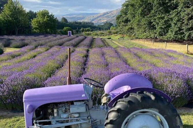 Private Queenstown and Wanaka City Day Tour - What This Tour Means for You