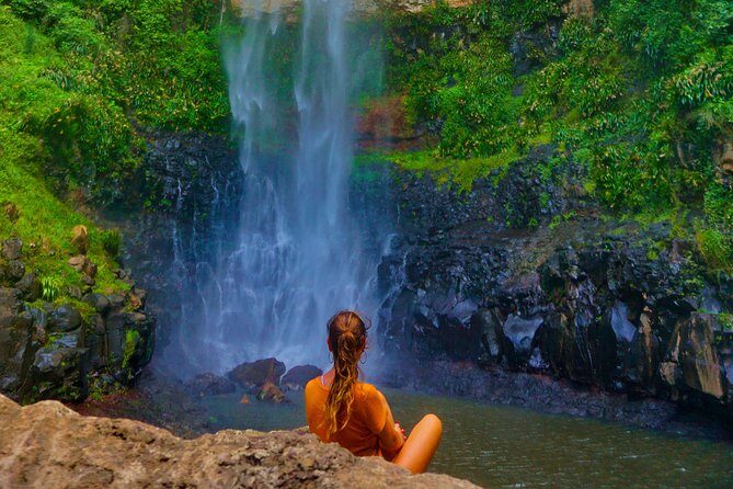Private Rainforest & Wildlife Tour - Build Your Own Experience - Exploring the Private Rainforest & Wildlife Tour on the Gold Coast: An Honest Review