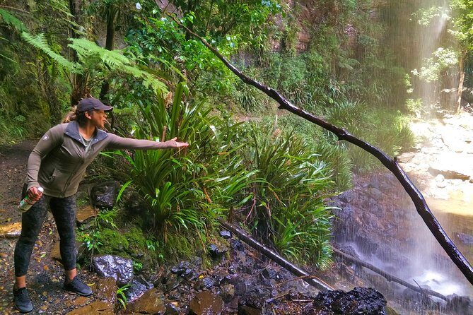 Private Rainforest & Wildlife Tour - Build Your Own Experience - The Sum Up