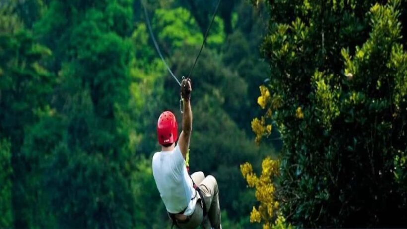 Private: Rainforest Ziplining Adventure in Anamuya - What Is the Rainforest Ziplining Adventure in Anamuya?