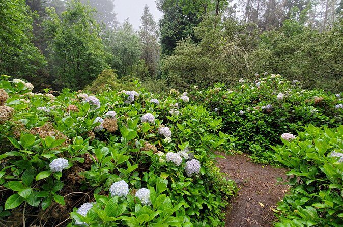 Private Redwood Forest Hiking Tour - FAQ