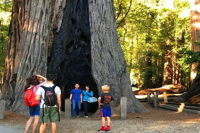Private Redwoods Tour & Beach Horseback Riding Experience from San Francisco - In-Depth Breakdown of the Experience