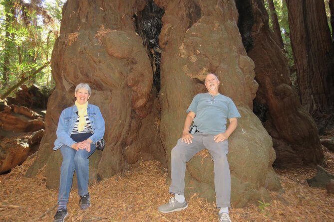 Private Redwoods Tour & Beach Horseback Riding Experience from San Francisco - Who Should Consider This Tour?