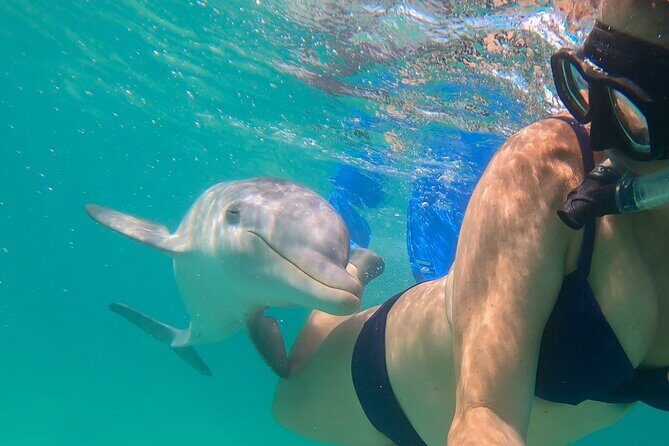 Private Reef, Beach and Sandbar Tour from Providenciales - An Overview of What to Expect