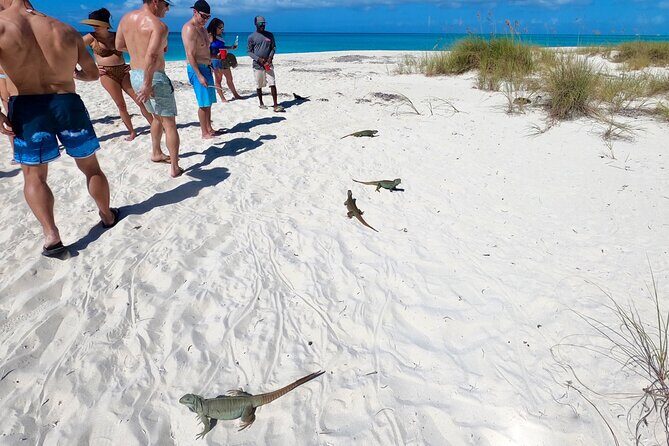 Private Reef, Beach and Sandbar Tour from Providenciales - Food, Drinks, and Extras