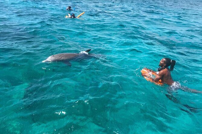 Private Reef, Beach and Sandbar Tour from Providenciales - FAQ