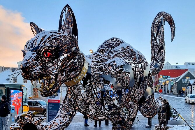 Private Reykjavik Cat Walking Tour - Accessibility and Additional Info