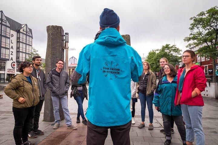 Private Reykjavik City & Food Walking Tour - The Heart of the Tour: What to Expect