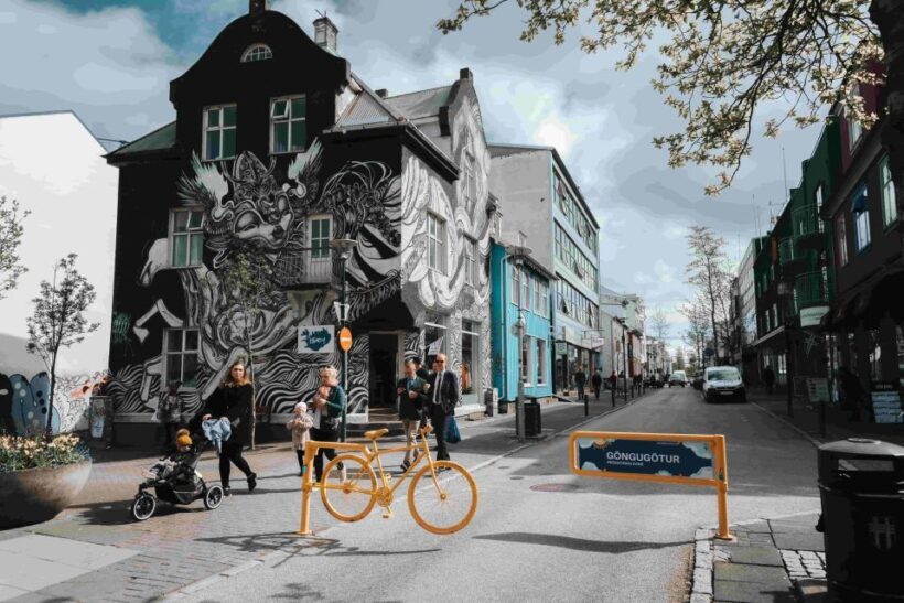 Private Reykjavik Shopping & Sightseeing Walking Tour - Key Points