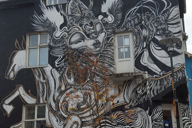 Private Reykjavik Street Art Walking Tour - The Instagram Tour - FAQs