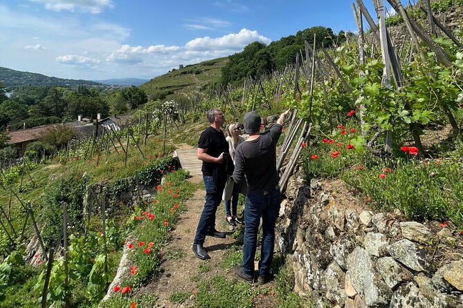 Private Rhône-Valley wine tour - The Sum Up