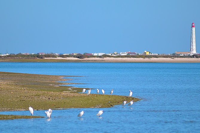 Private Ria Formosa Natural Park Boat Cruise From Faro - Inclusions and Amenities