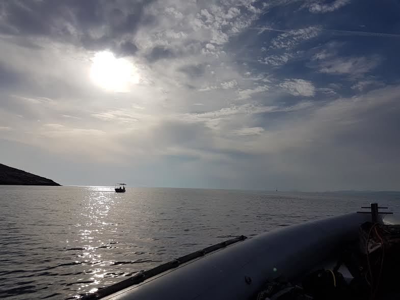 Private Rib Cruise to Poseidon Temple at Sounio Cape - Introduction