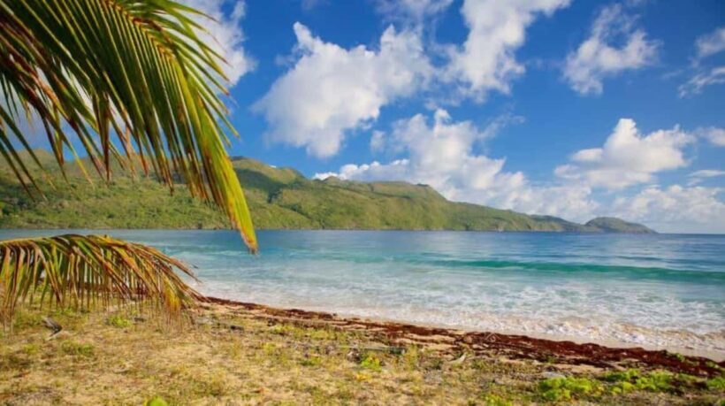 Private Rincón Beach & Bacardi Island from Punta Cana - Exploring the Day: What to Expect on the Private Rincón Beach & Bacardi Island Tour